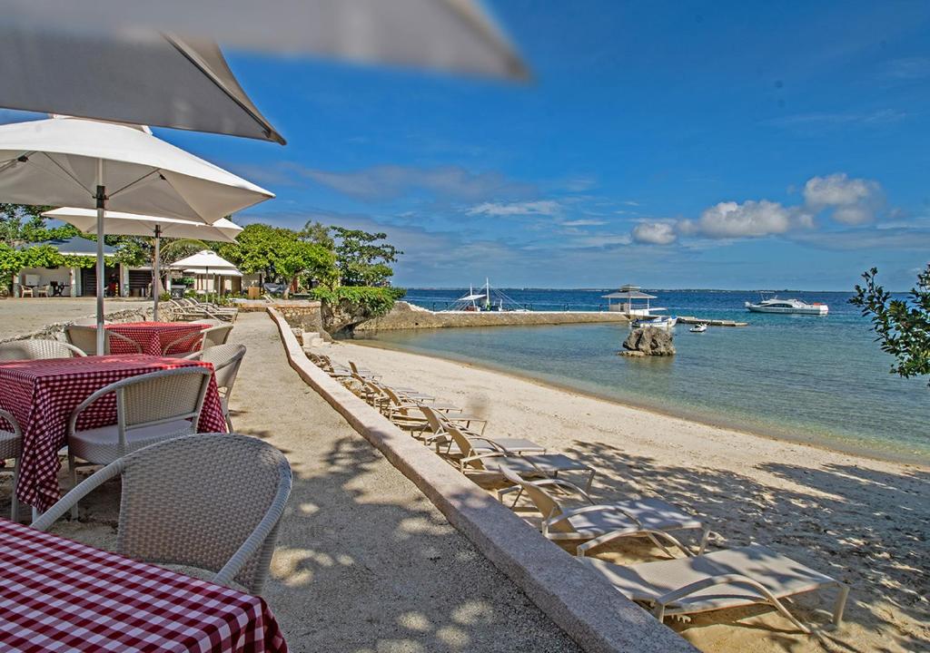 Best Cebu Beaches: Your Ultimate Island Hopping Guide to Paradise – Blu ...